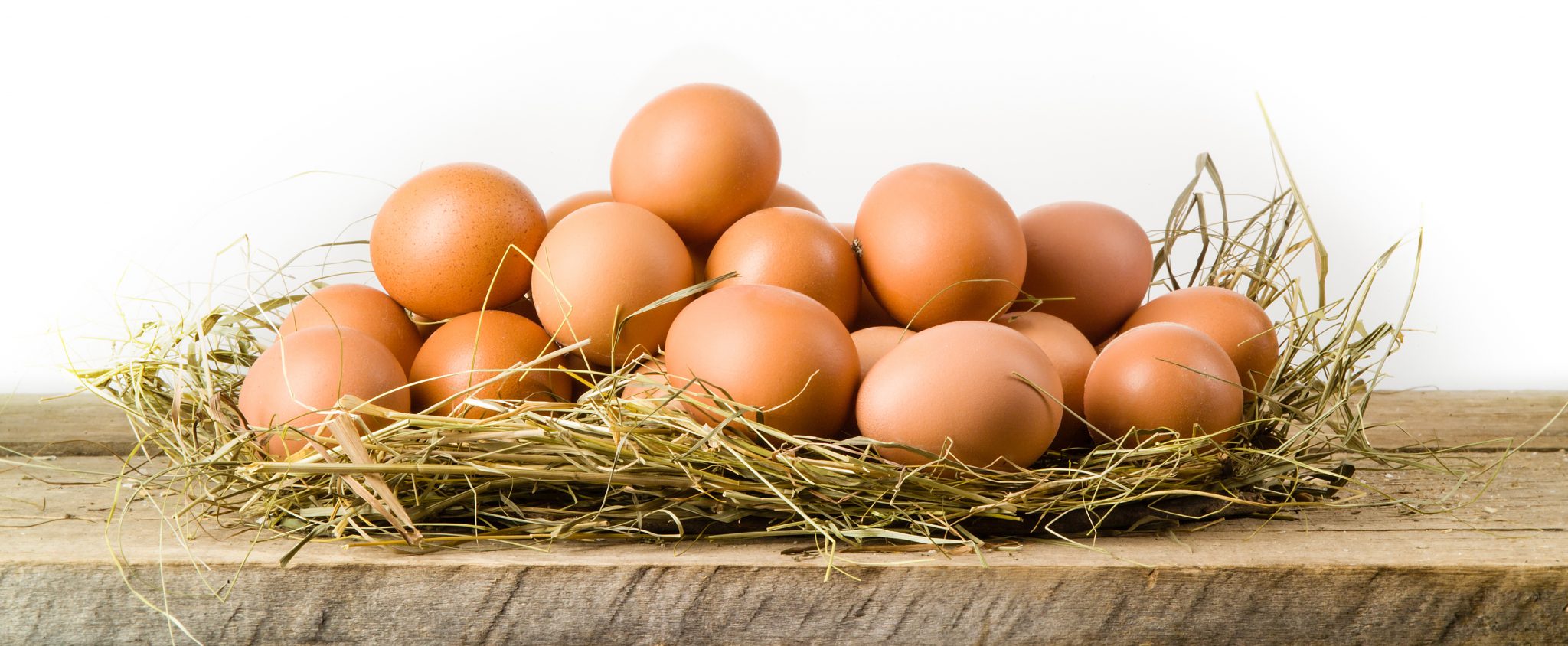 Everything Worth Knowing About Chicken Eggs - Backyard Poultry